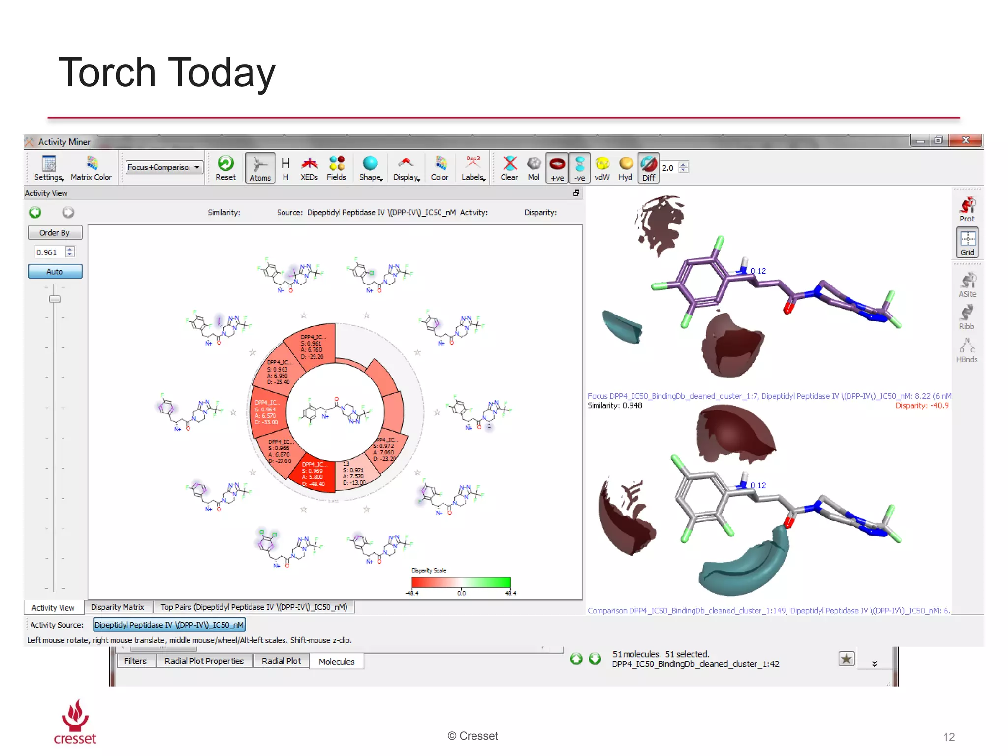 Torch for medicinal chemists | PPT