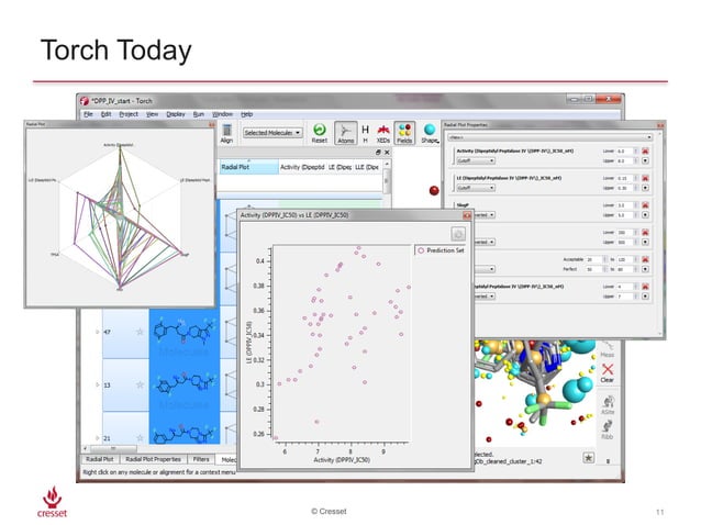 Torch for medicinal chemists | PPT