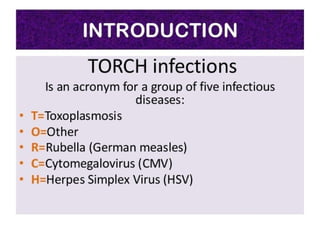 Torch infection | PPT