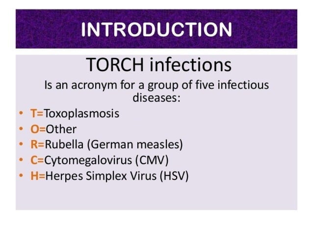 Torch infection | PPT