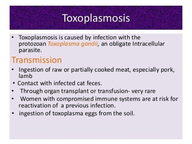 Torch infection | PPT