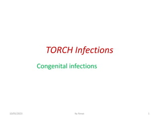 TORCH Infections.pptx