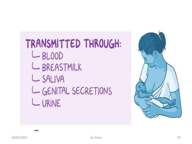 TORCH Infections.pptx | Pregnancy | Reproductive Health