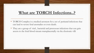 TORCH INFECTIONS IN PREGNANCY.pptx