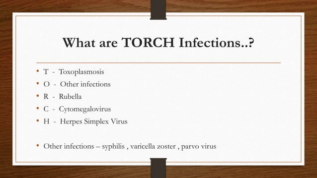 TORCH INFECTIONS IN PREGNANCY.pptx | Pregnancy | Reproductive Health