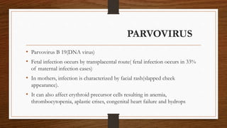 TORCH INFECTIONS IN PREGNANCY.pptx
