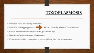 TORCH INFECTIONS IN PREGNANCY.pptx