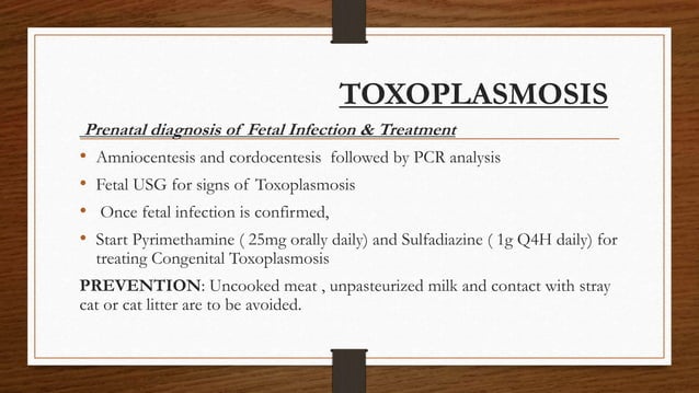 TORCH INFECTIONS IN PREGNANCY.pptx | Pregnancy | Reproductive Health