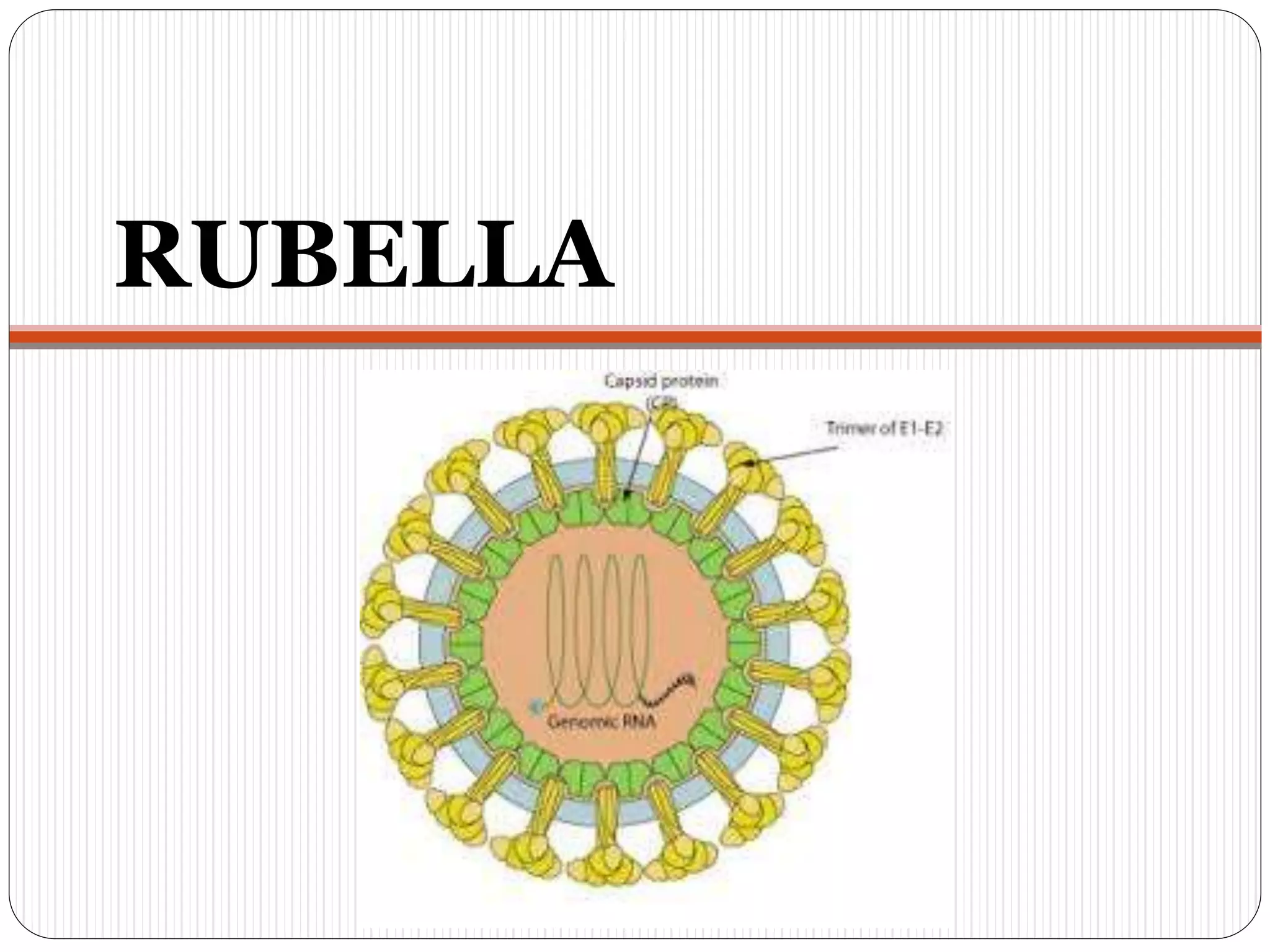 TORCH Infection in neonate (newborn) | PPTX