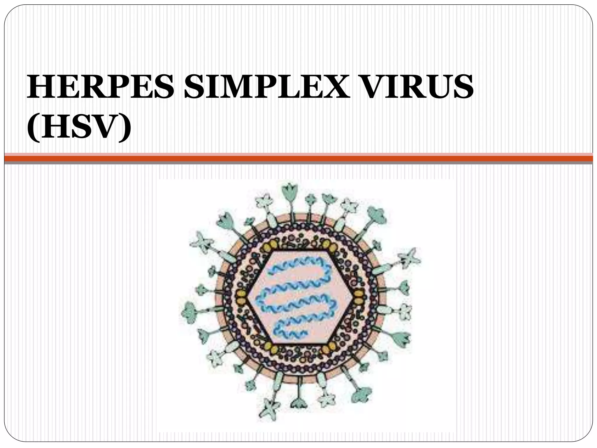 TORCH Infection in neonate (newborn) | PPTX