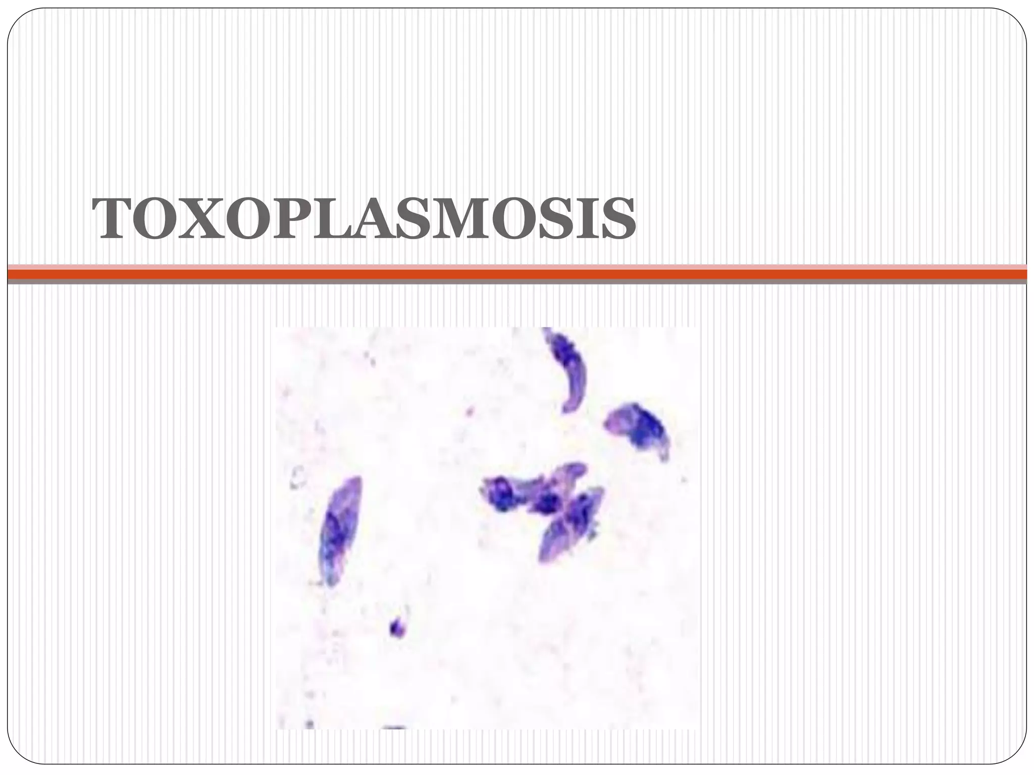 TORCH Infection in neonate (newborn) | PPTX