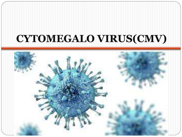 TORCH Infection in neonate (newborn) | PPTX | Pregnancy | Reproductive ...