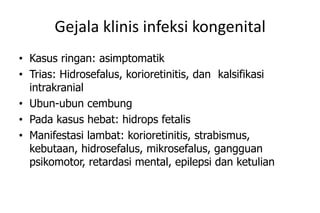 TORCH_pptpendidikanprogramdokterspesialis.ppt