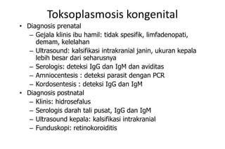 TORCH_pptpendidikanprogramdokterspesialis.ppt