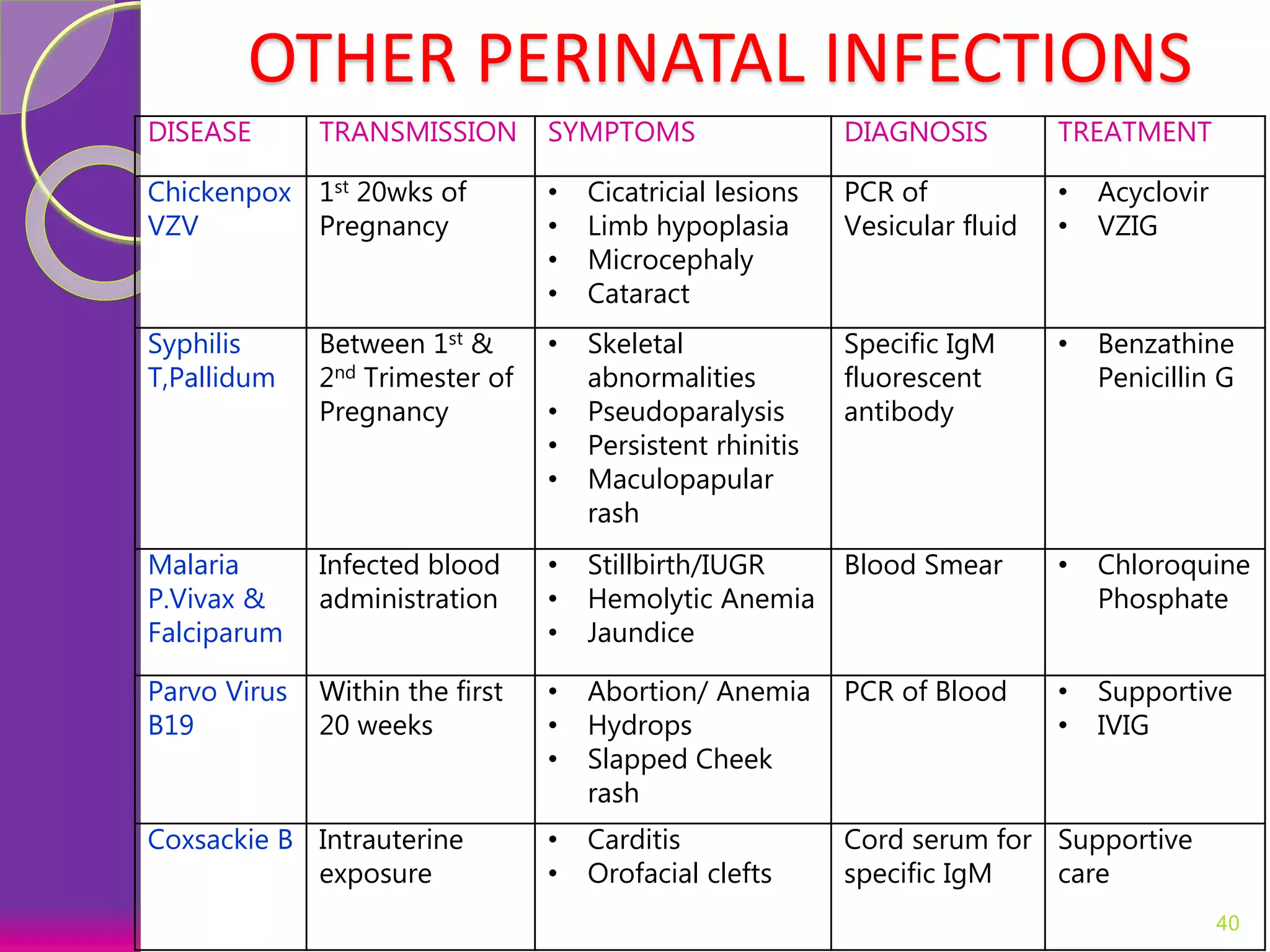 TORCH INFECTION | PPTX