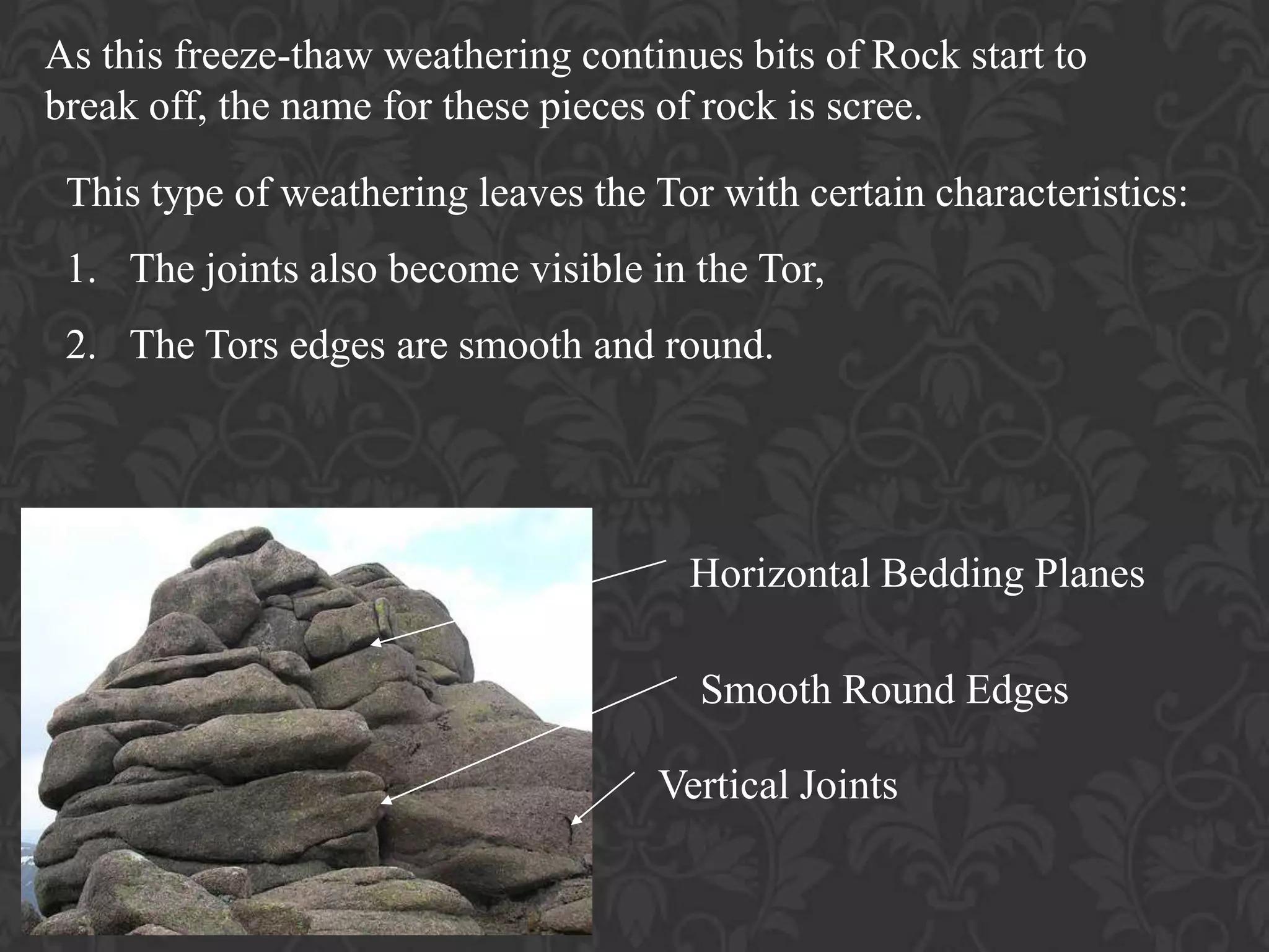 Tor formation | PPTX