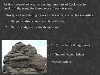 Tor formation | PPTX