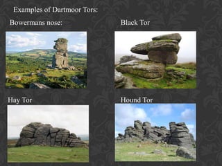 Tor formation | PPTX