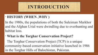 torgarh conservation project of protecting wildlife.pptx