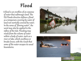 Natural Disasters | PPT