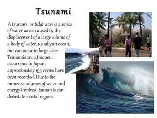 Natural Disasters | PPT