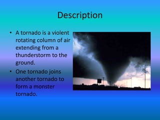 Tornado Coral | PPTX