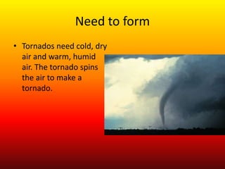 Tornado Coral | PPTX