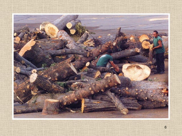 Tornado desk by Chris Gochnour | PPT