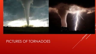 Tornadoes and tsunamis!! | PPTX