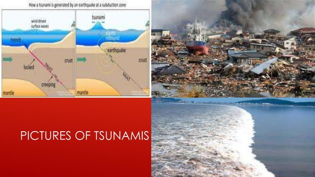 Tornadoes and tsunamis!! | PPTX | Geography | Science
