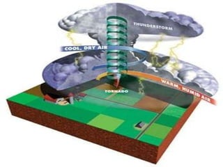 Tornado power point | PPT