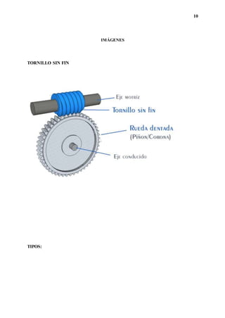 Tornillo y tornillo sin fin | DOCX