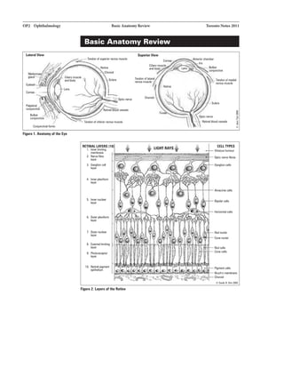 Toronto Notes 2011 Ophthalmology.pdf