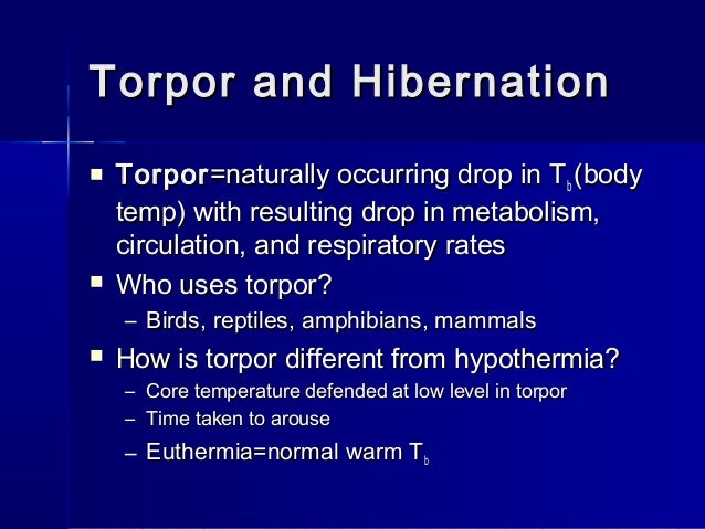 Torpor
