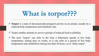 Torpor | PPT