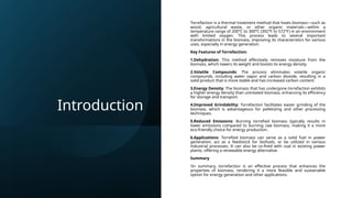 TORREFACTION PROCESS DESIGN & DESCRIPTION.pptx