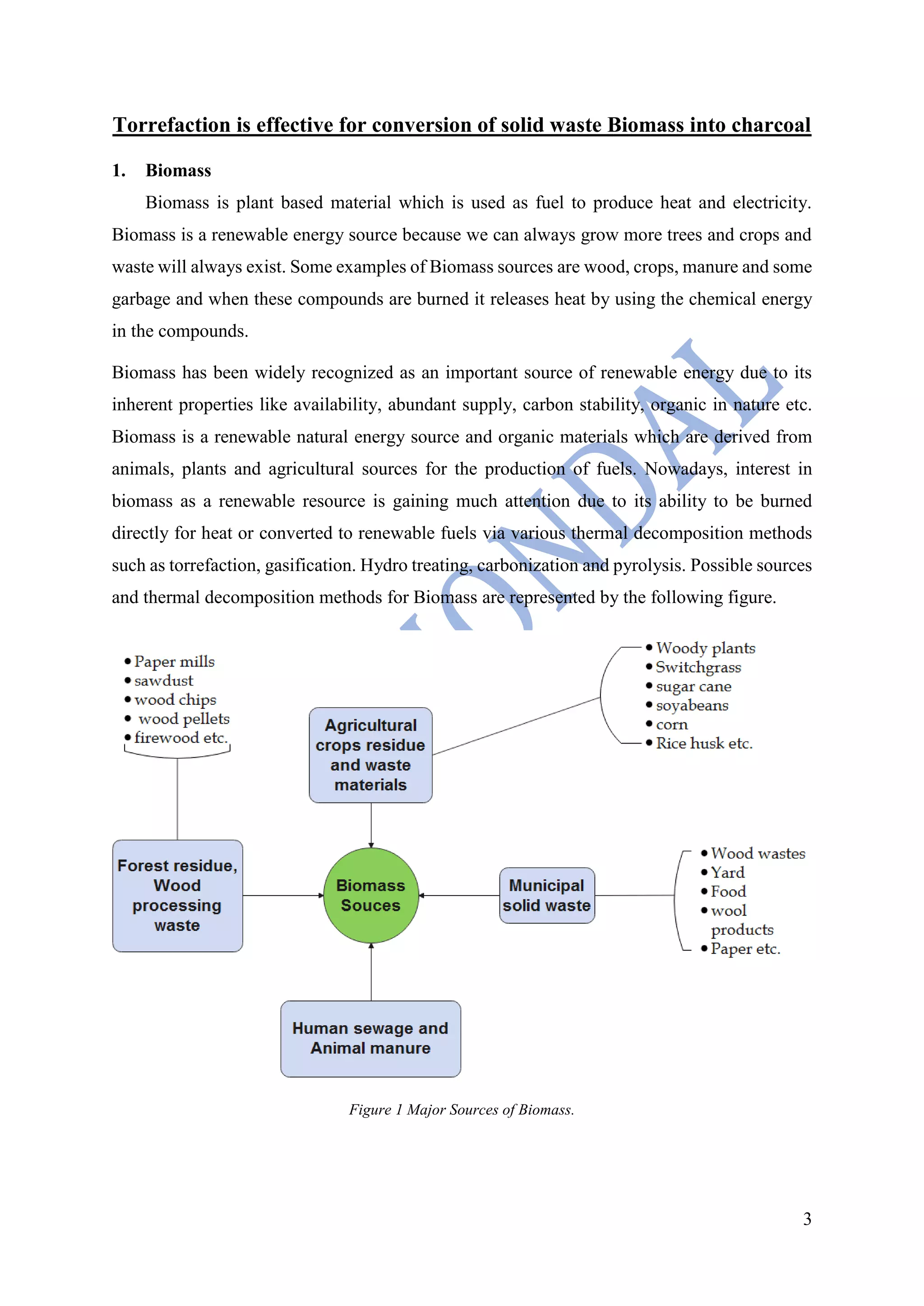 Torrefaction Process for Biomass conversion.pdf