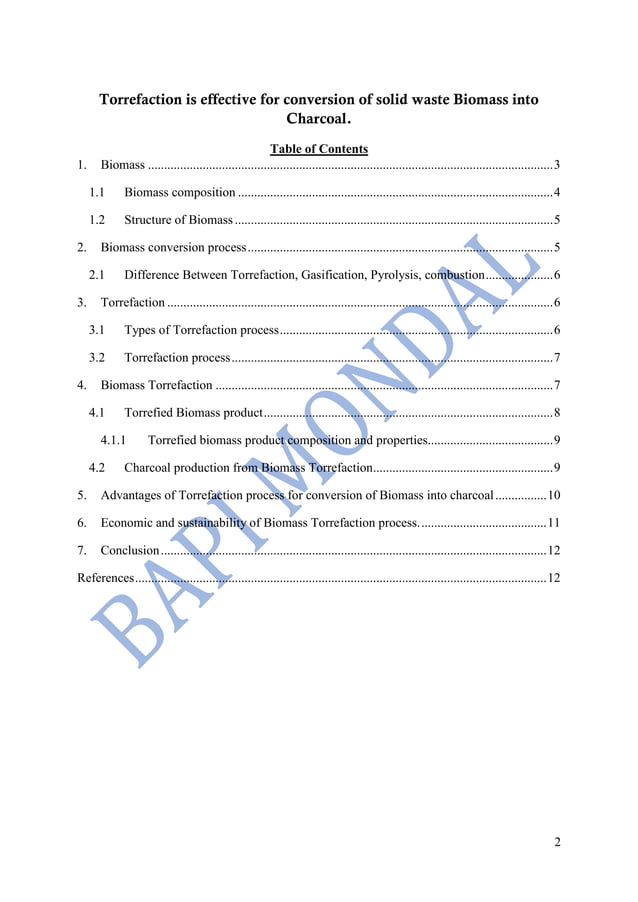 Torrefaction Process for Biomass conversion.pdf