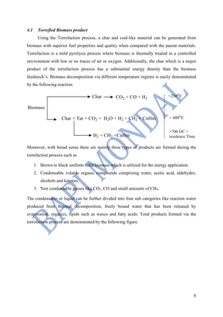 Torrefaction Process for Biomass conversion.pdf