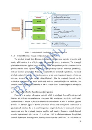 Torrefaction Process for Biomass conversion.pdf