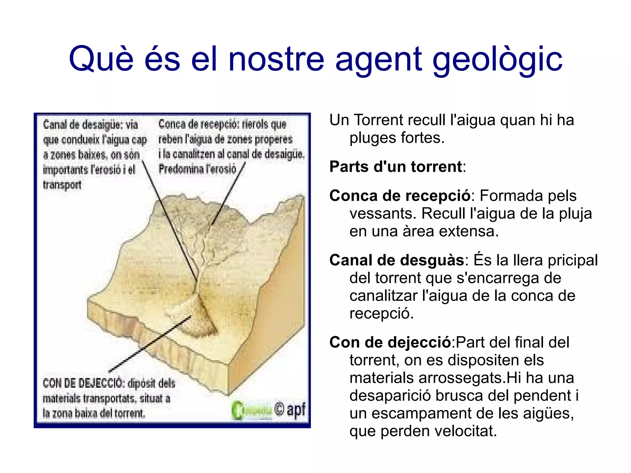 Torrents Lara i Minerva | ODP