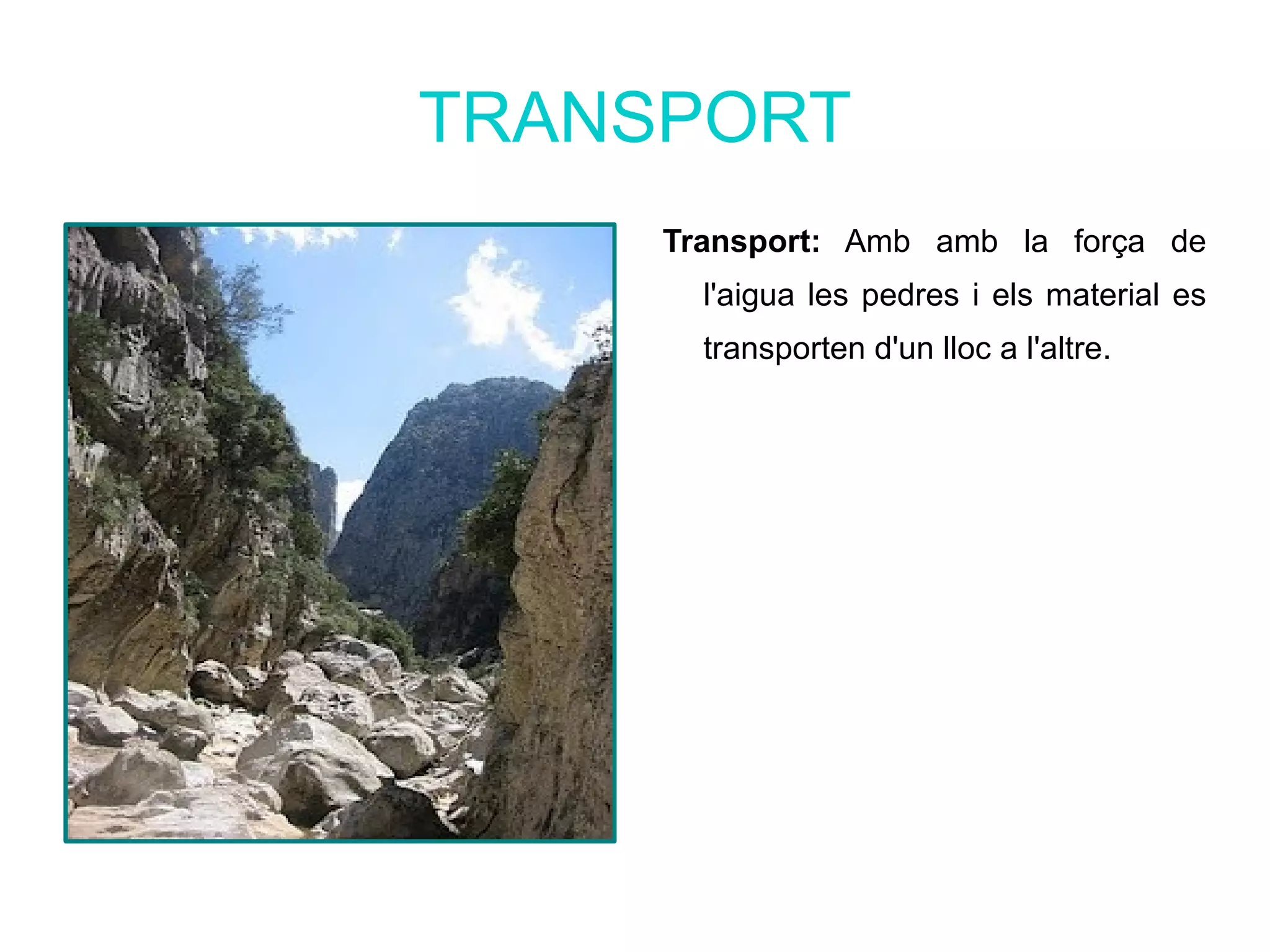 Torrents Lara i Minerva | ODP