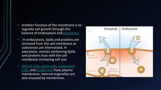 CELL BIOLOGY.pptx