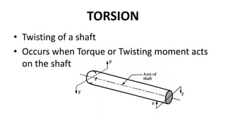 Torsion | PDF