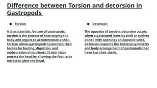 Torsion and detorsion in Gastropods ppt...pptx