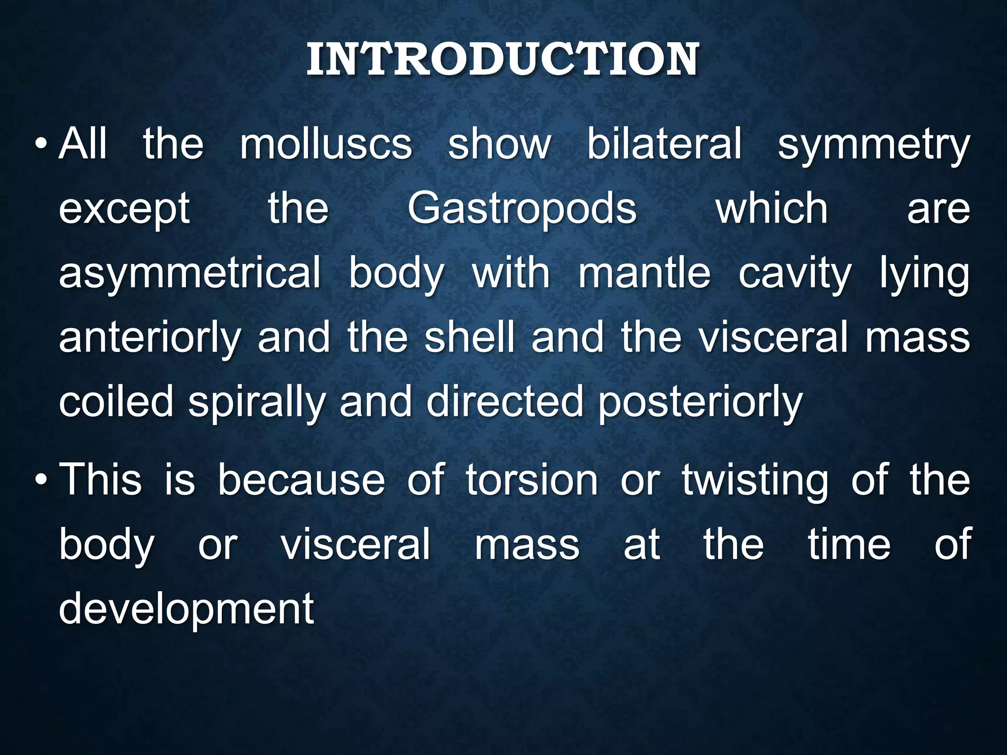 Torsion in gastropoda | PPTX