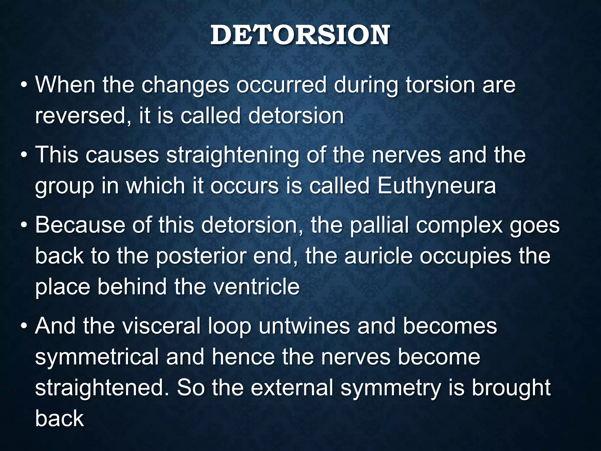 Torsion in gastropoda | PPTX