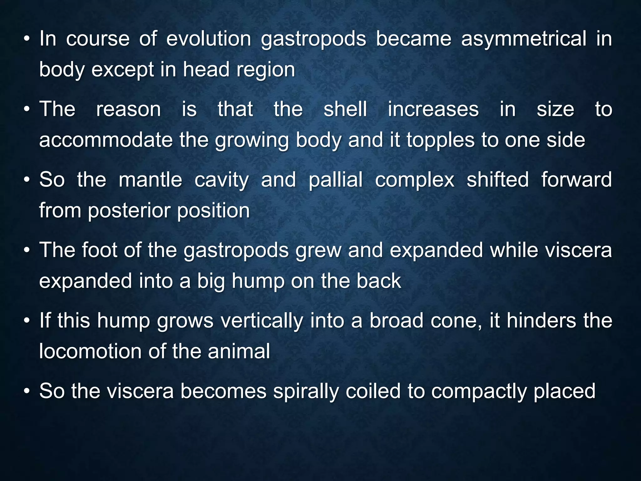 Torsion in gastropoda | PPTX