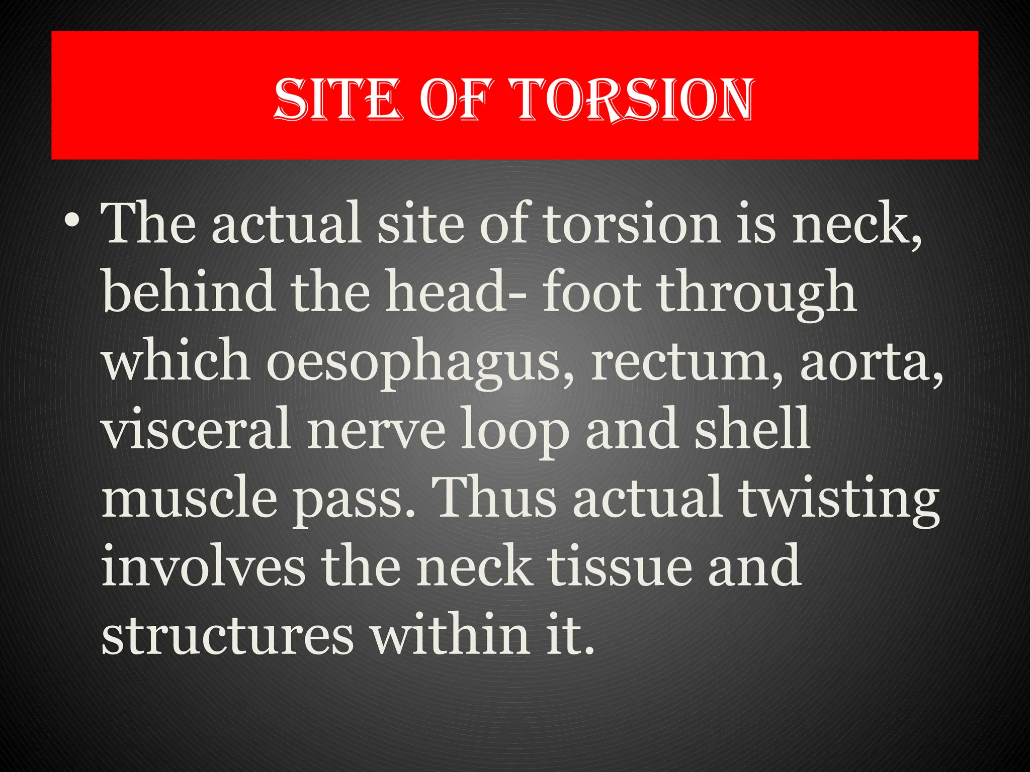 Torsion in Gastropoda by Shivani Vishwakarma M.Sc. I year.pptx