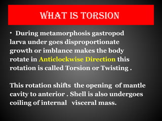 Torsion in Gastropoda by Shivani Vishwakarma M.Sc. I year.pptx